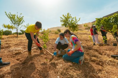 Service Learning | American Community School Amman